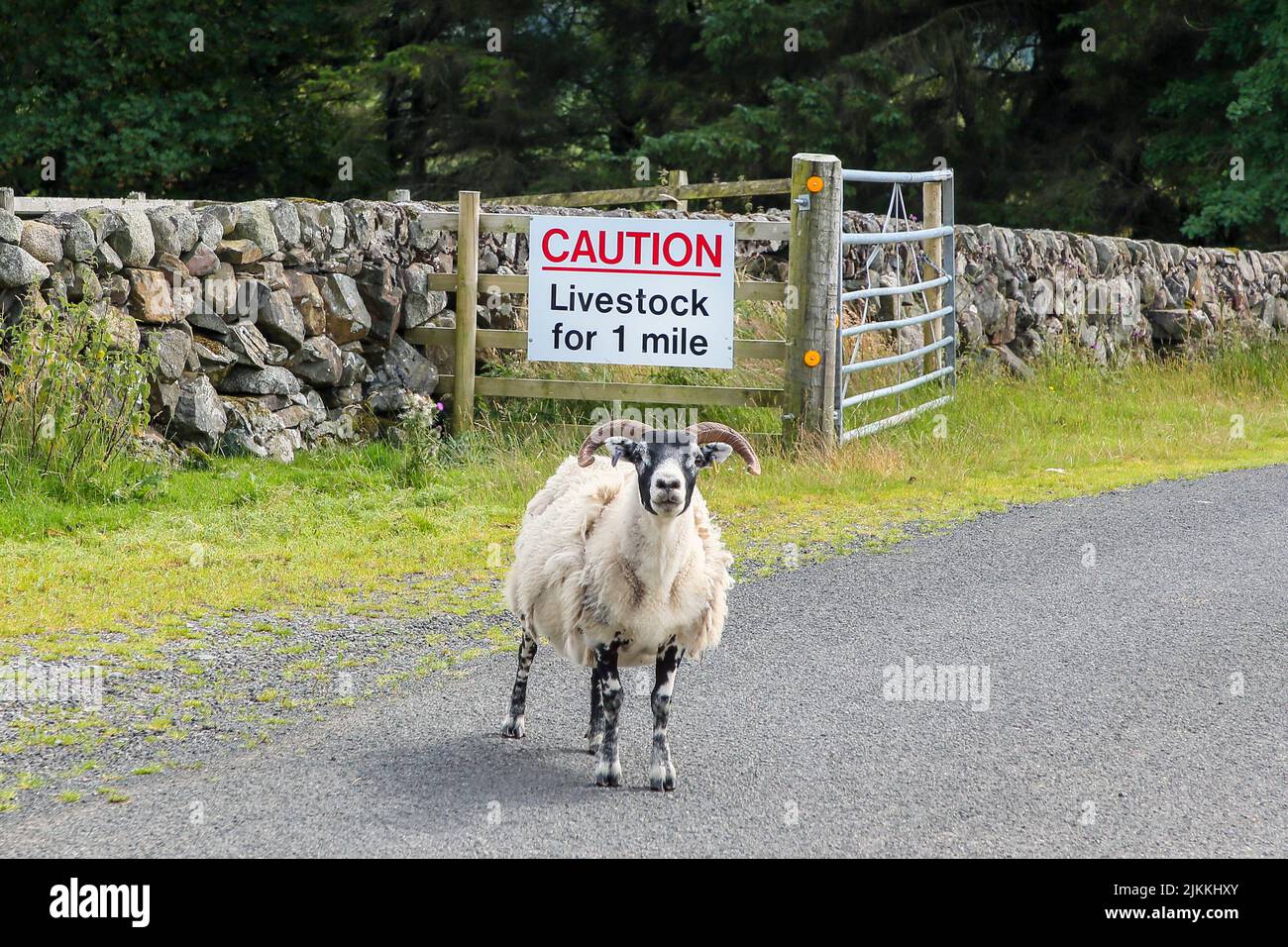 Caution warning sign hi-res stock photography and images - Alamy