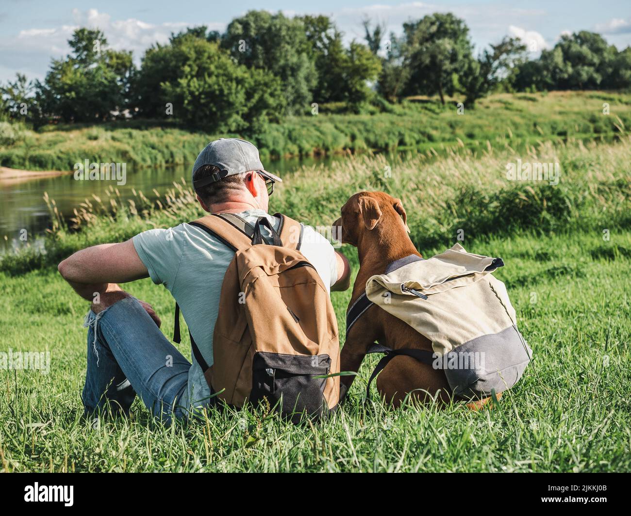 Charming, pretty brown puppy and attractive man. Close-up, outdoors ...
