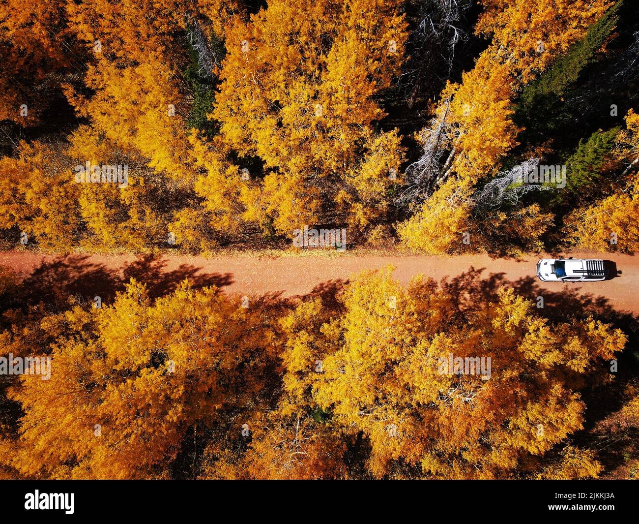 The Fall Overlanding through the aspen forests of Wyoming Stock Photo ...