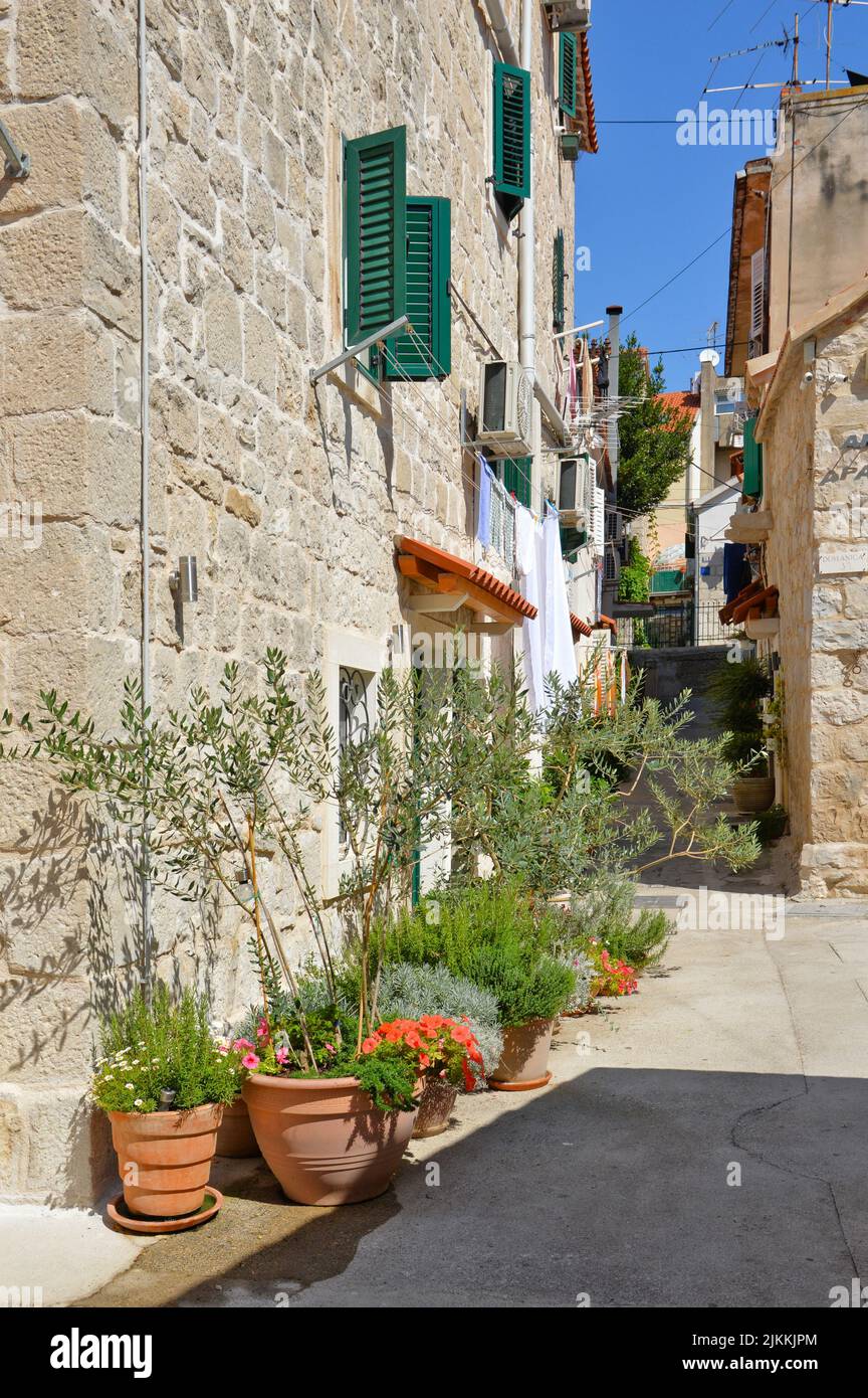 A vertical shot of a cute building with outdoor plants in a narrow ...