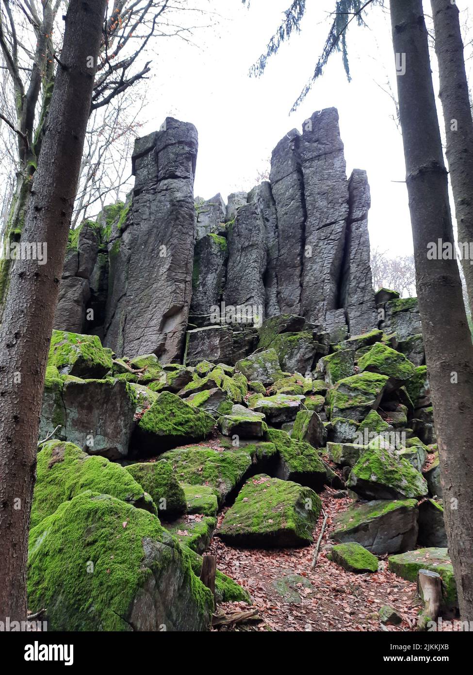 A vertical shot of mossy rocks and trees on Steinwand mountain in Hesse ...