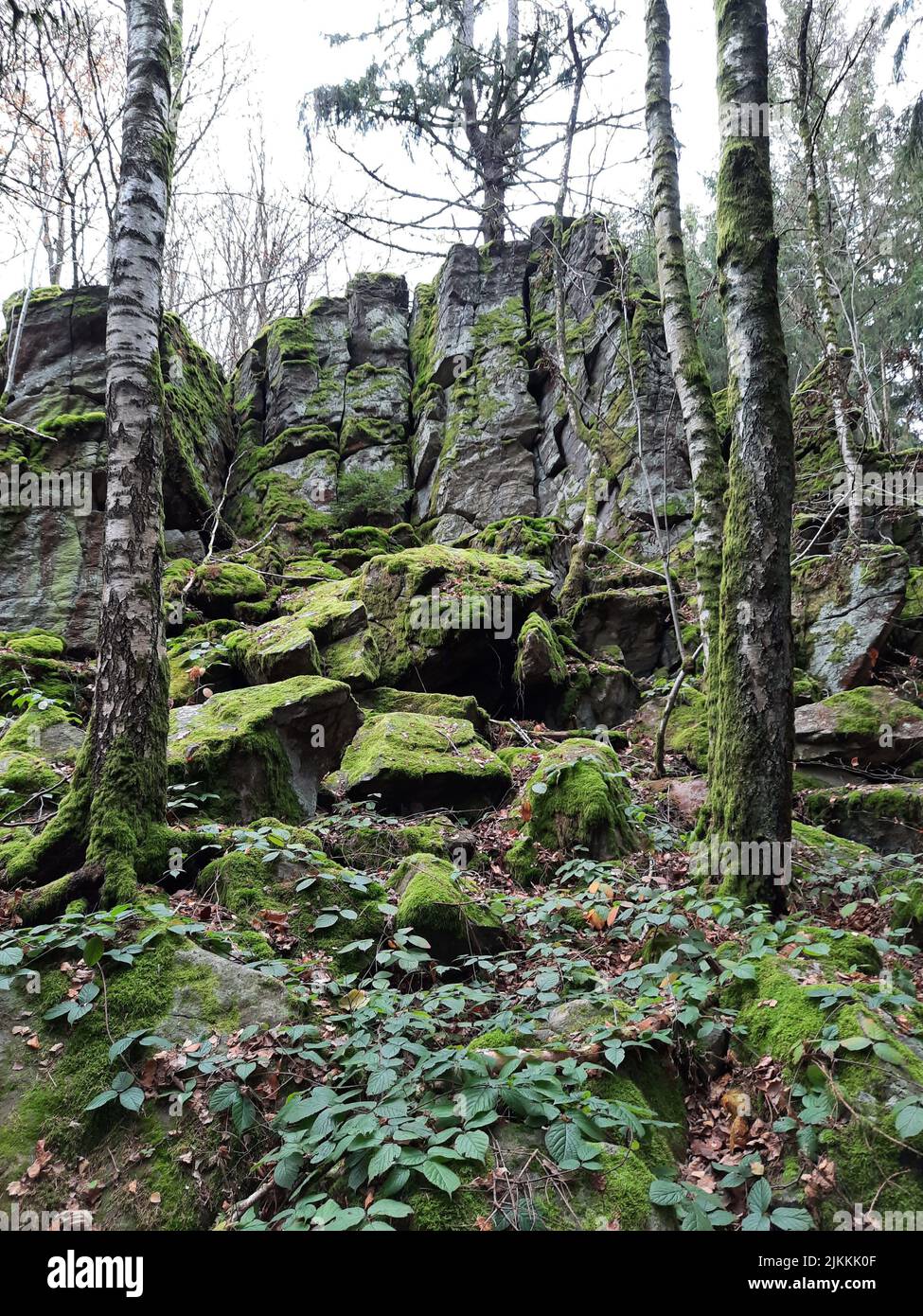A vertical shot of mossy rocks and trees on Steinwand mountain in Hesse ...