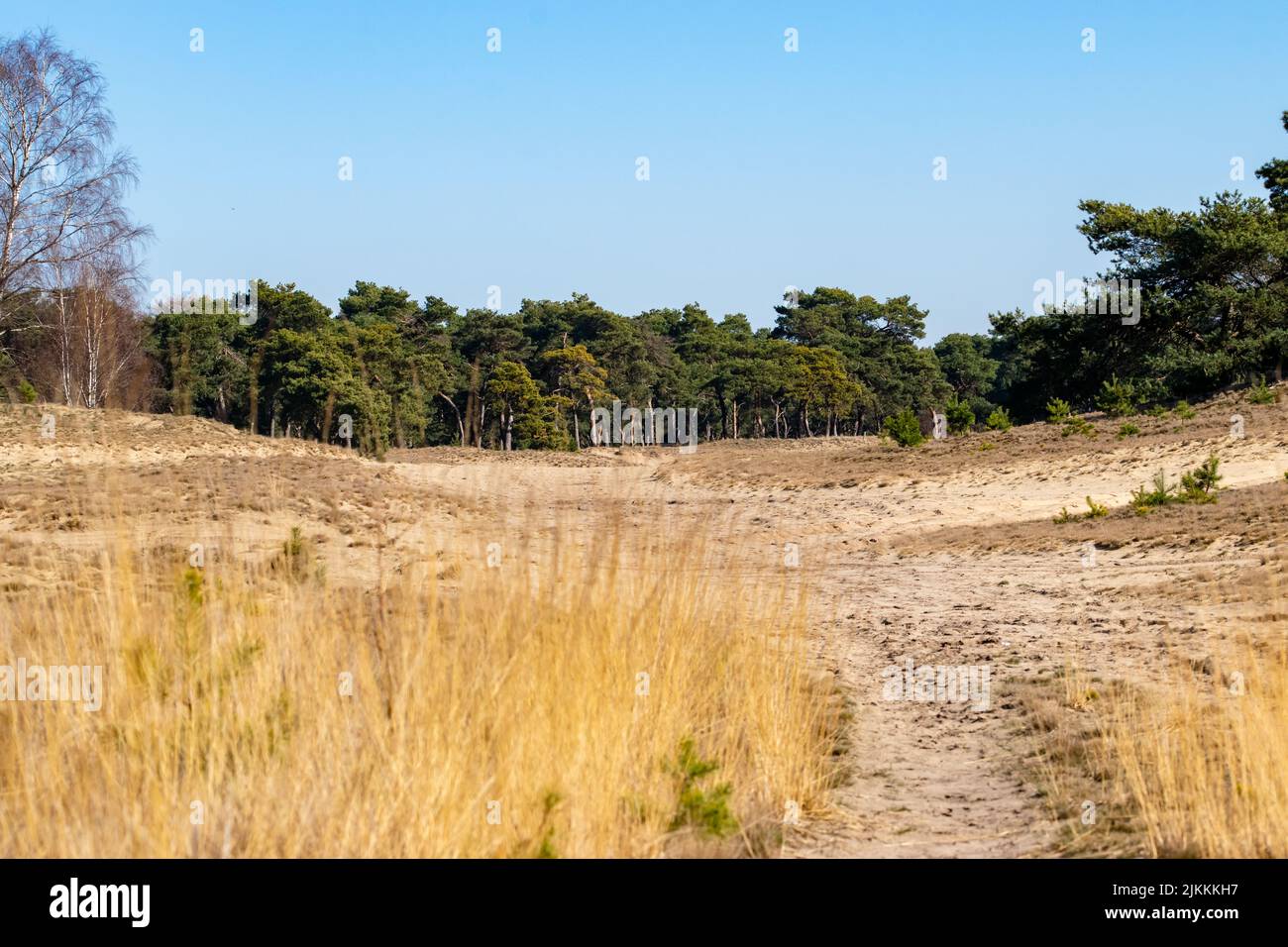 Area environment hi-res stock photography and images - Alamy