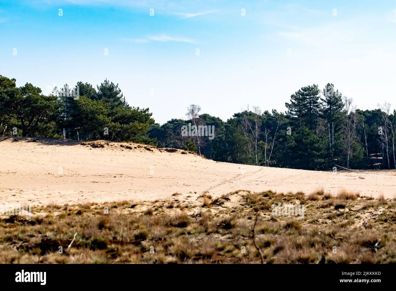 Area environment hi-res stock photography and images - Alamy