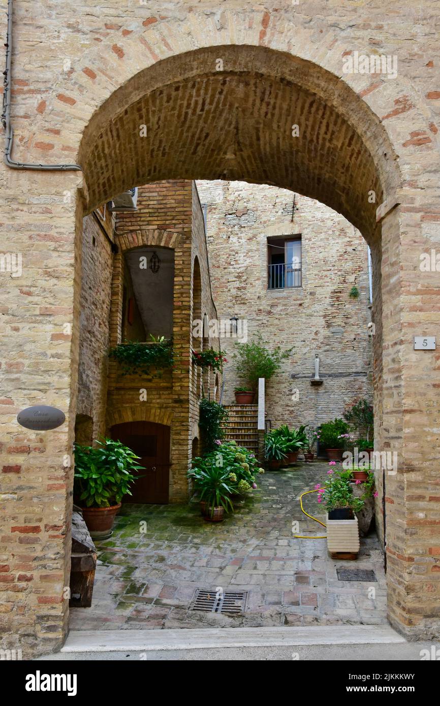 A vertical shot of an archway with beautiful plants outside an old ...