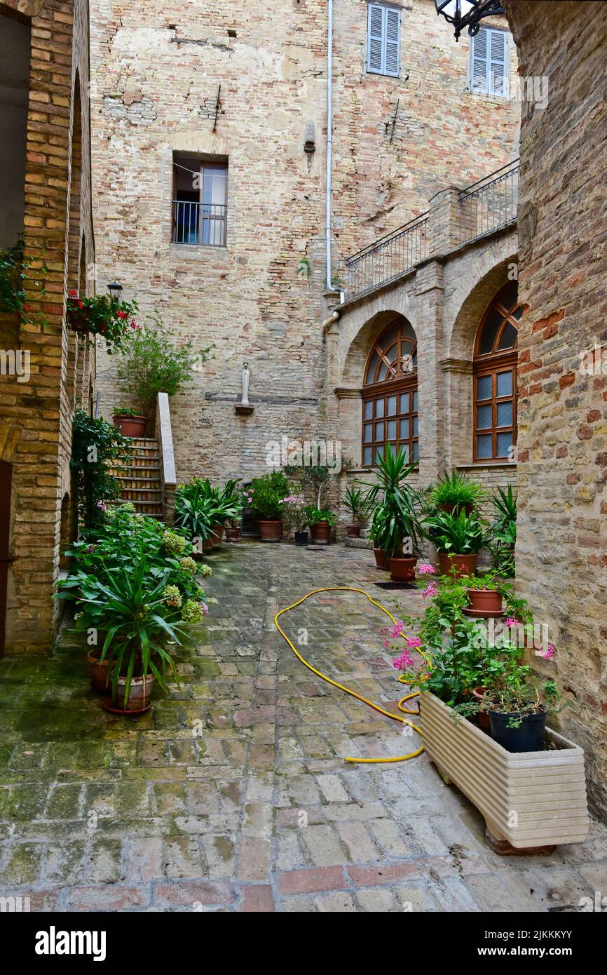 A vertical shot of a narrow street of Civitanova Alta town in the ...