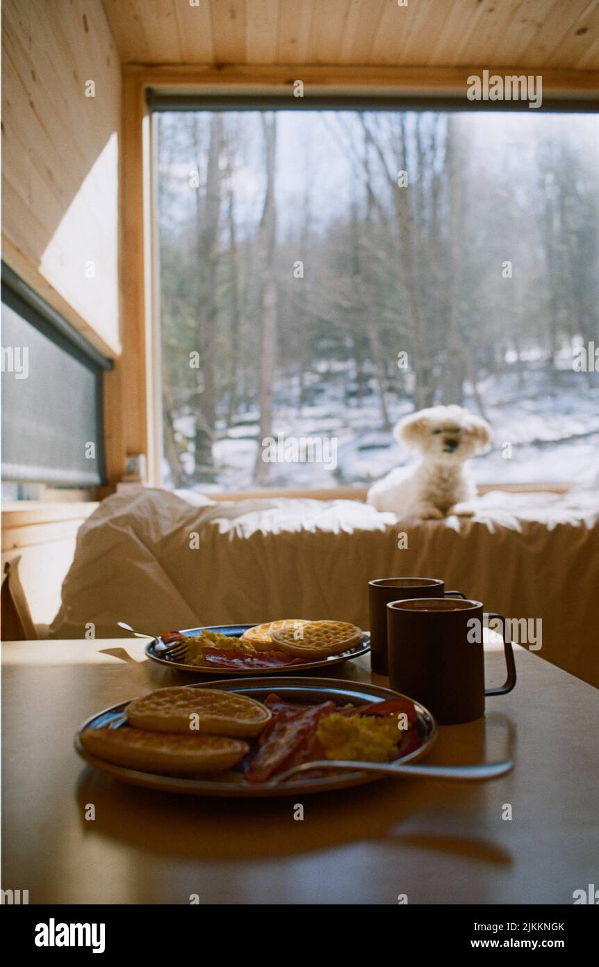 A Big breakfast with hotcakes food on the table and a Maltese dog by ...