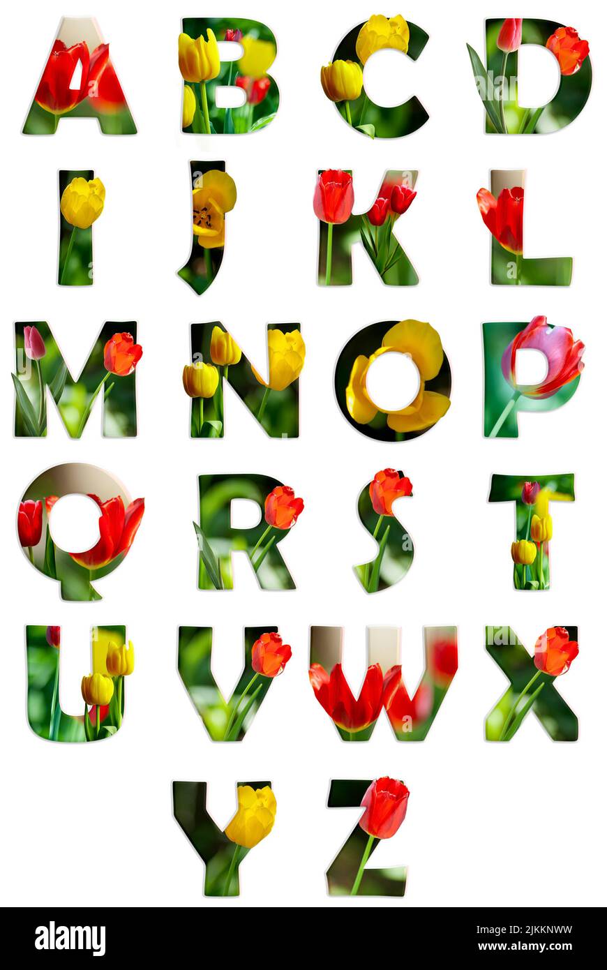 A vertical shot of English letters in nature style isolated on white ...