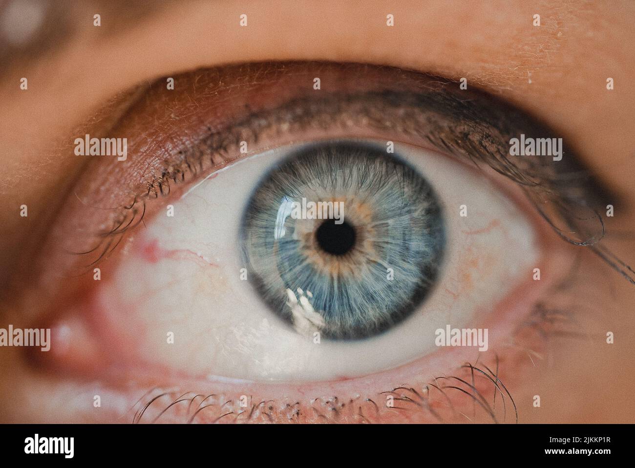 Human skin texture closeup detail hi-res stock photography and images ...
