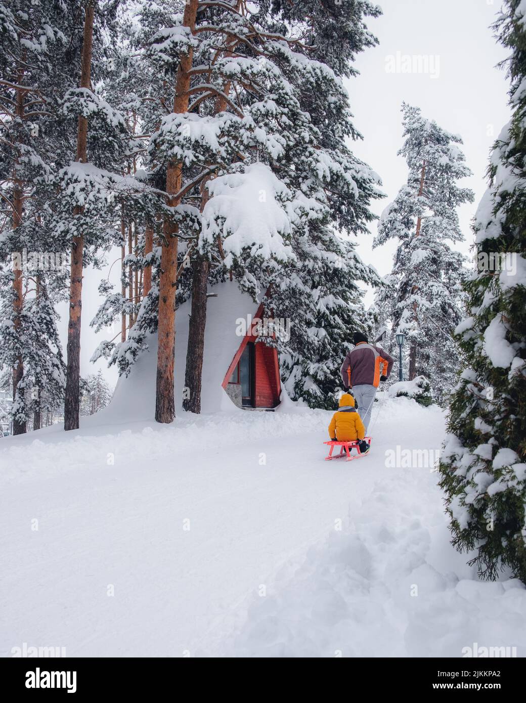 A vertical shot of an adult pulling the sled with a kid sitting in it ...