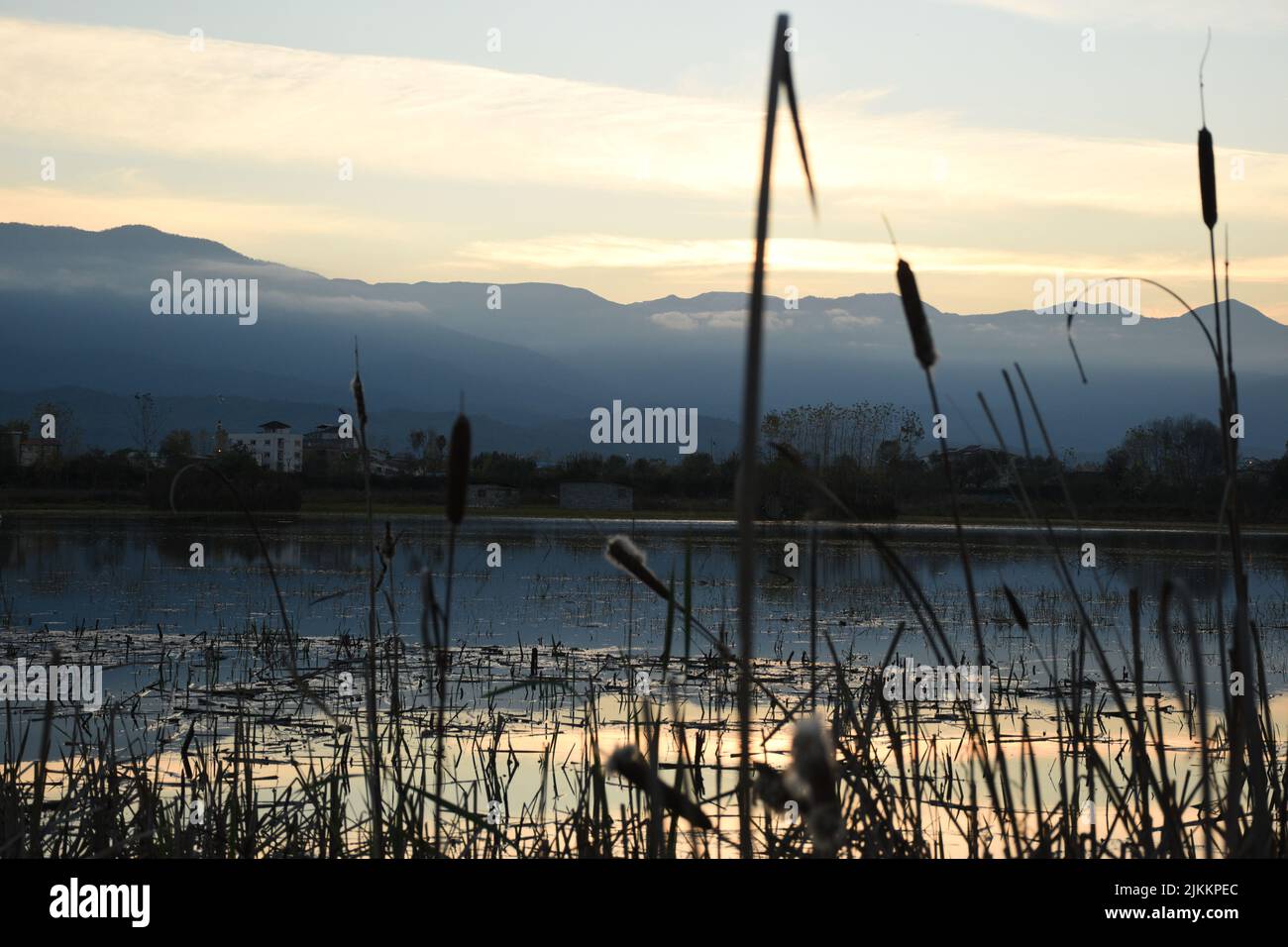 Small lake grass hi-res stock photography and images - Alamy