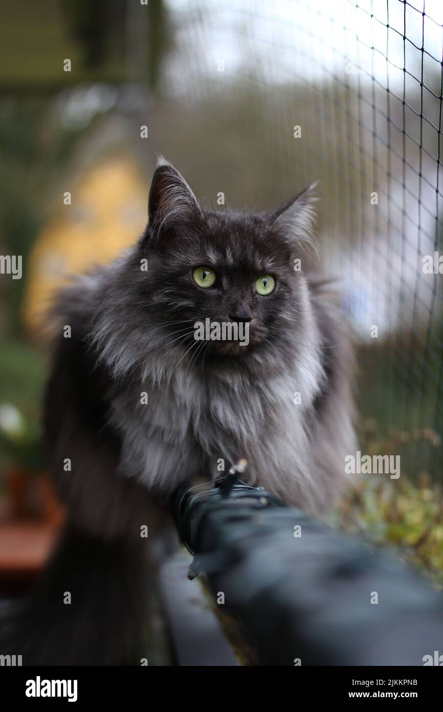 Blurred eyes hi-res stock photography and images - Alamy