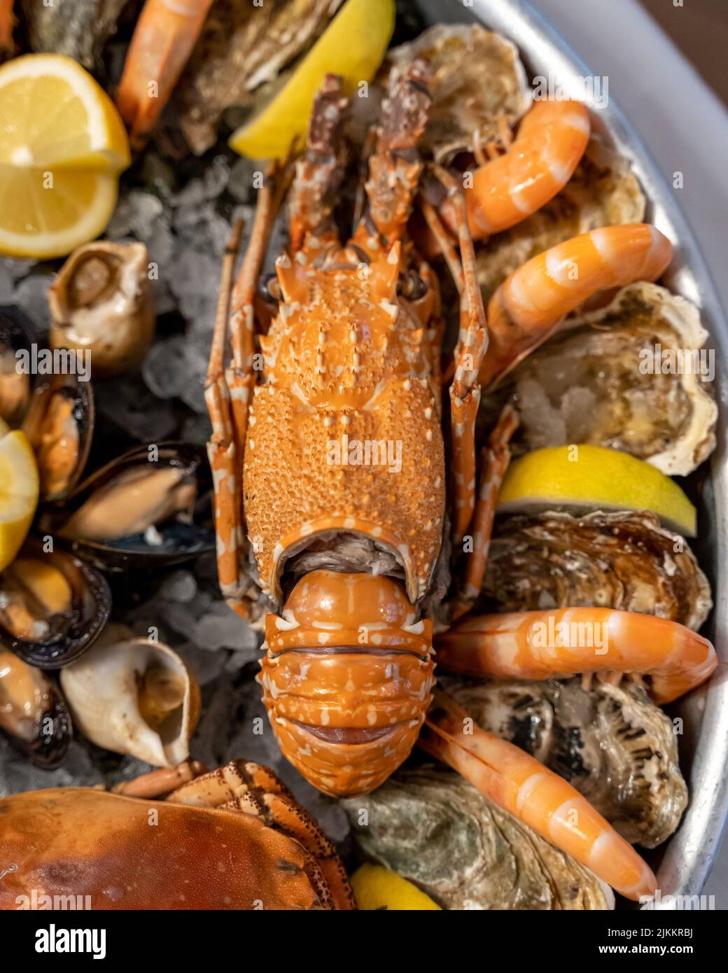 A vertical top view of an orange lobster, clams, oysters, prawns, and ...