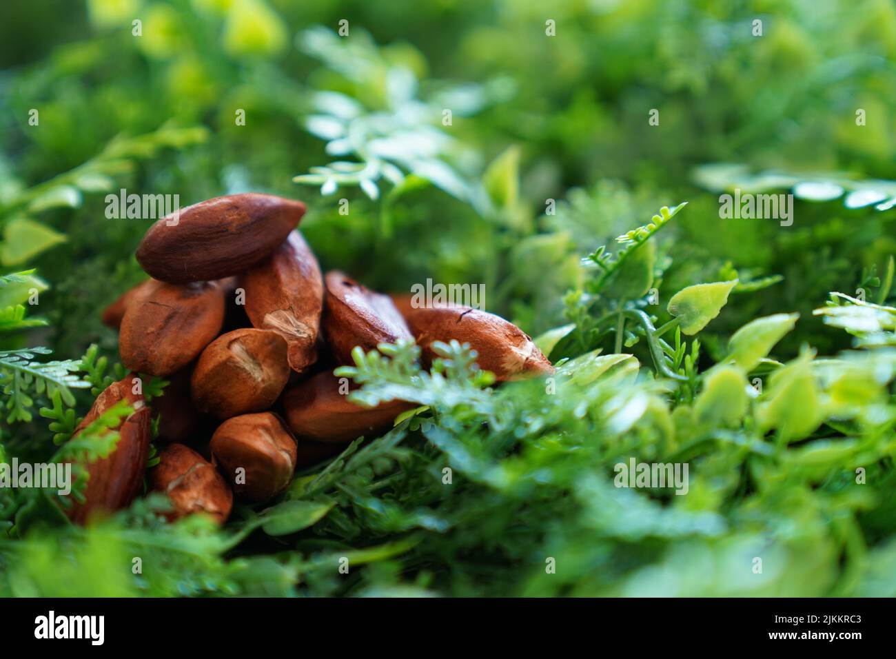 Pile of dates hi-res stock photography and images - Alamy