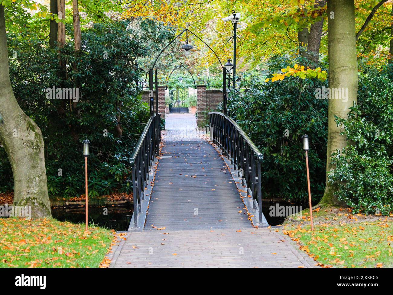 Summer day at a park hi-res stock photography and images - Alamy