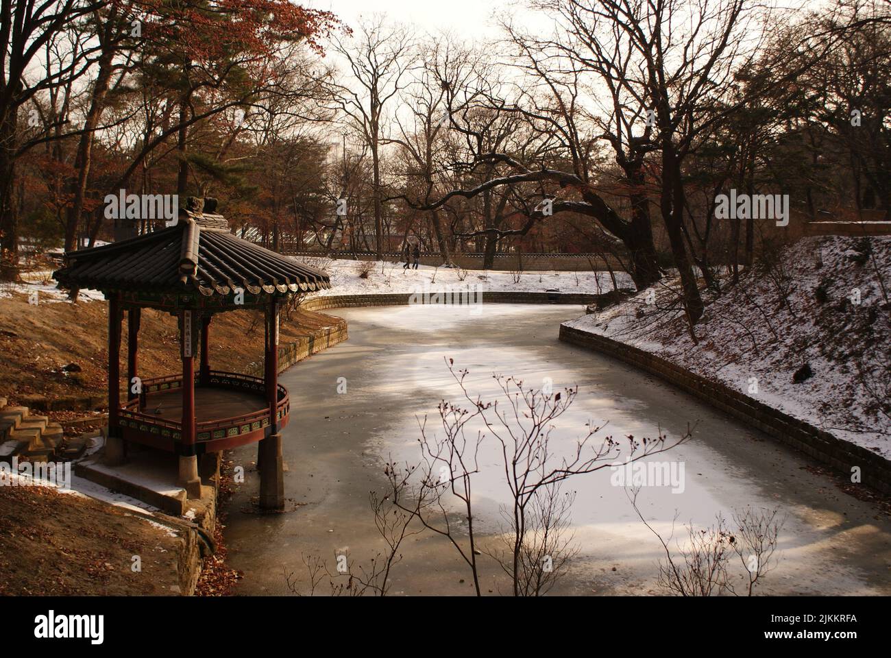 A mesmerizing view of the autumn trees and plants with wet pathway in ...