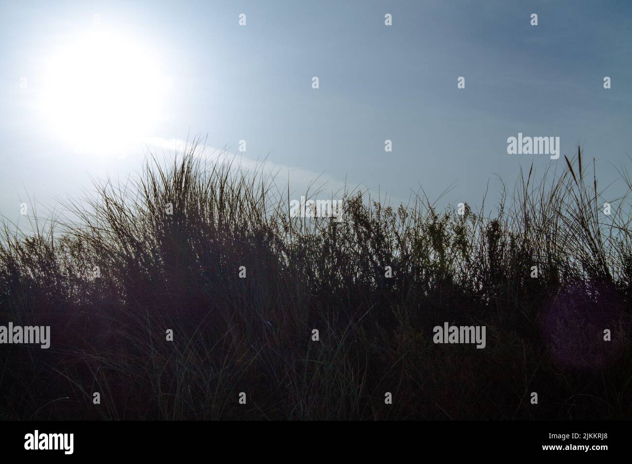 Sun shining over field hi-res stock photography and images - Alamy