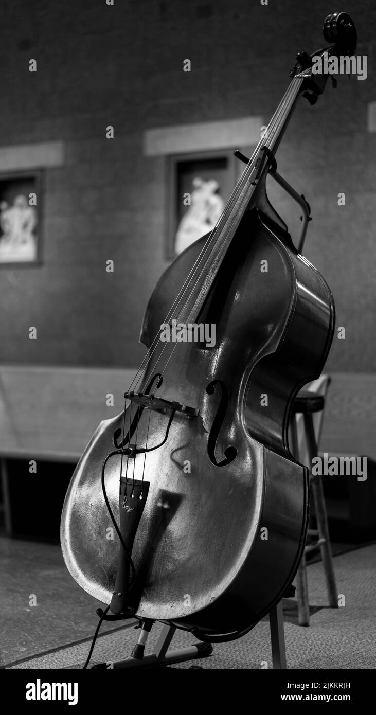 Black Cello
