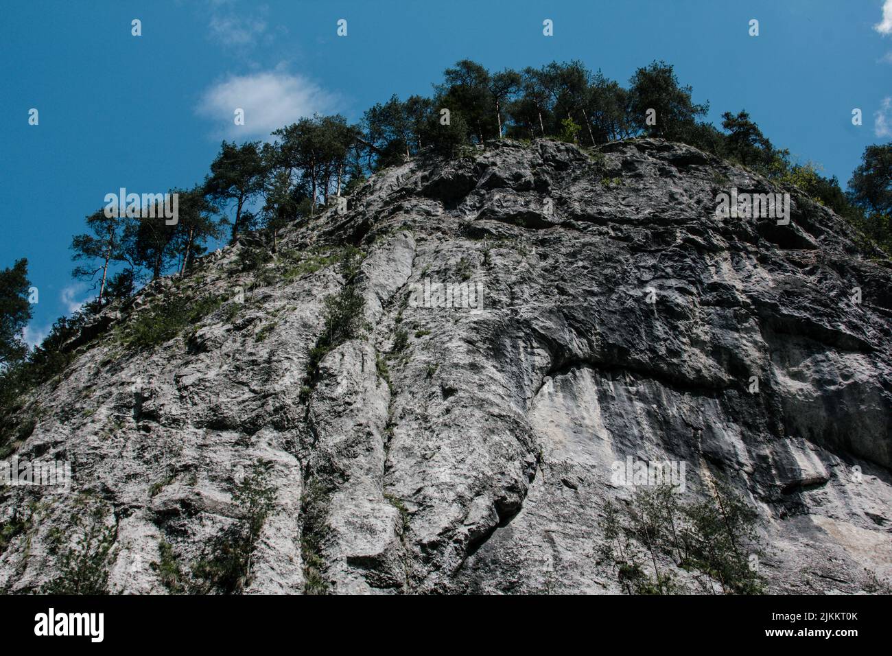 A low angle closeup of a high rock cliff forest mountain in Romania ...