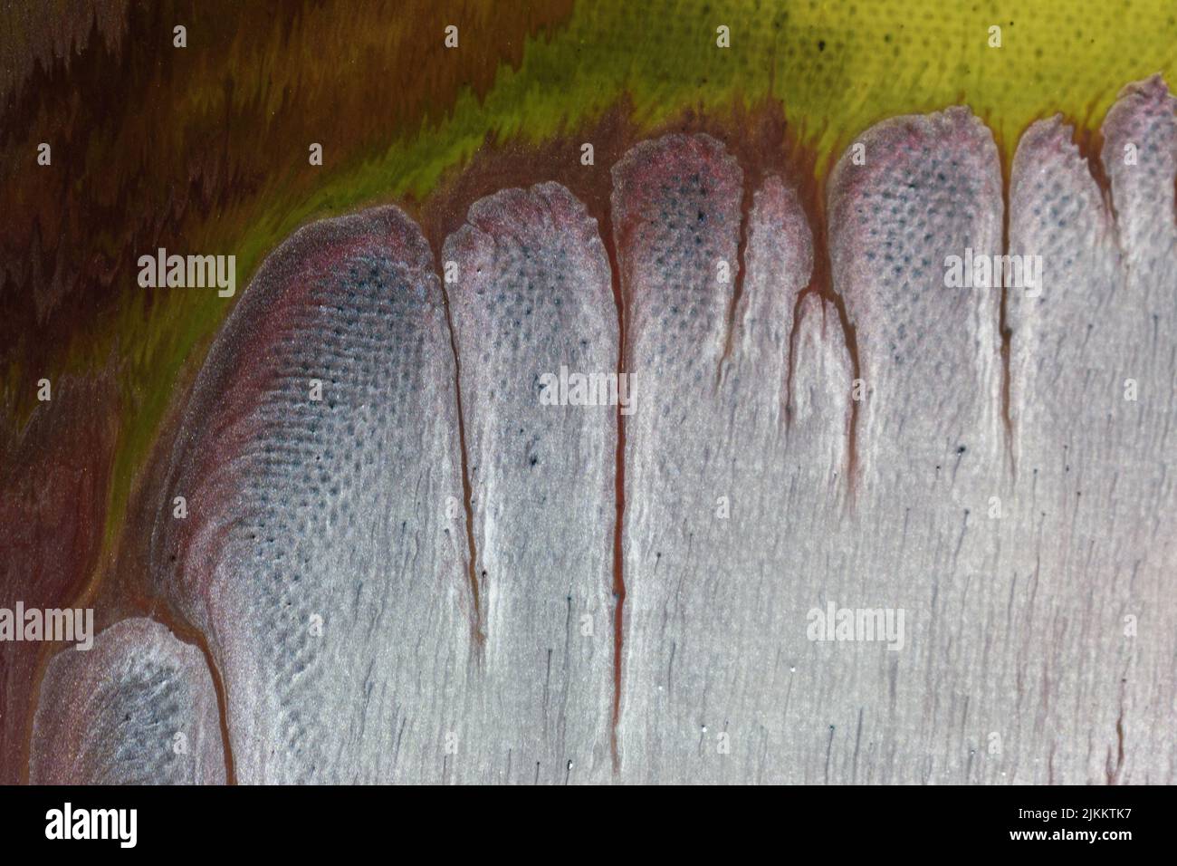 An Abstract Colorful acrylic art painting, perfect for background or ...