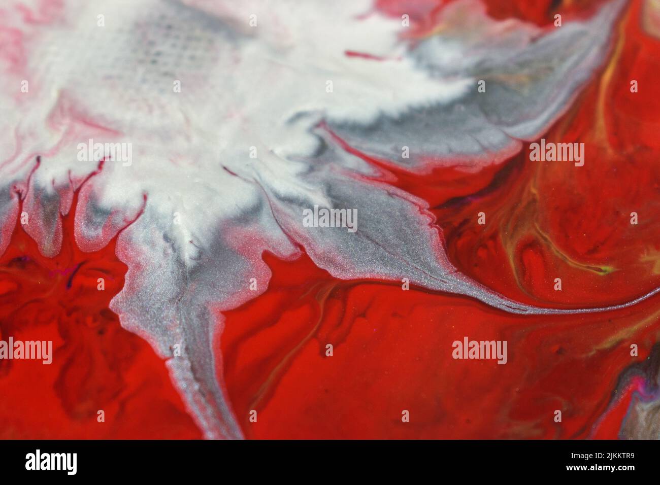 Paint Perfect - EMSEKFLOL.COM