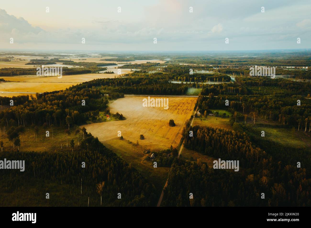 A bird's eye view of a beautiful field surrounded with bushy green ...