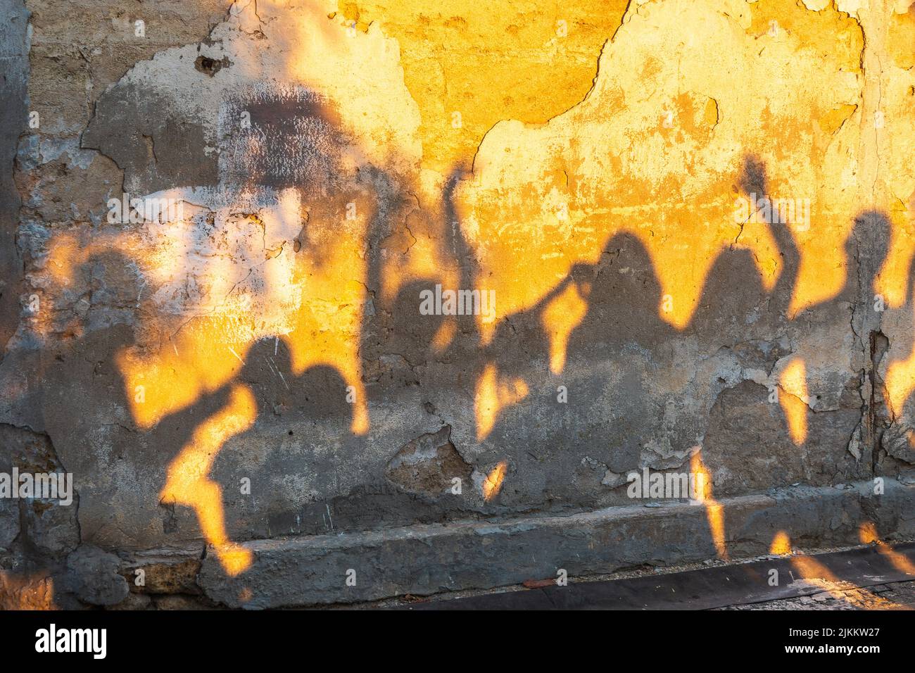 People Colorful Shadows