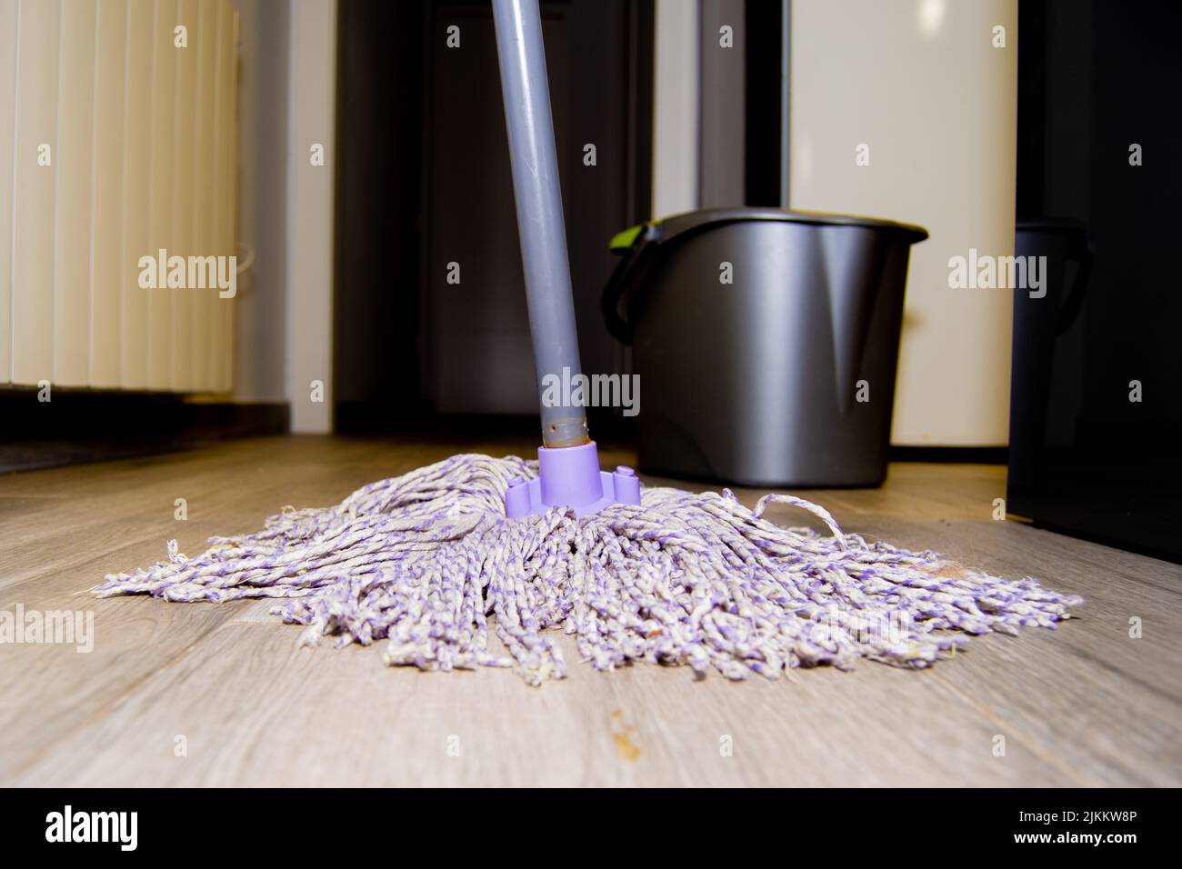 Cleaning the floor of a house with a mop without people Stock Photo - Alamy