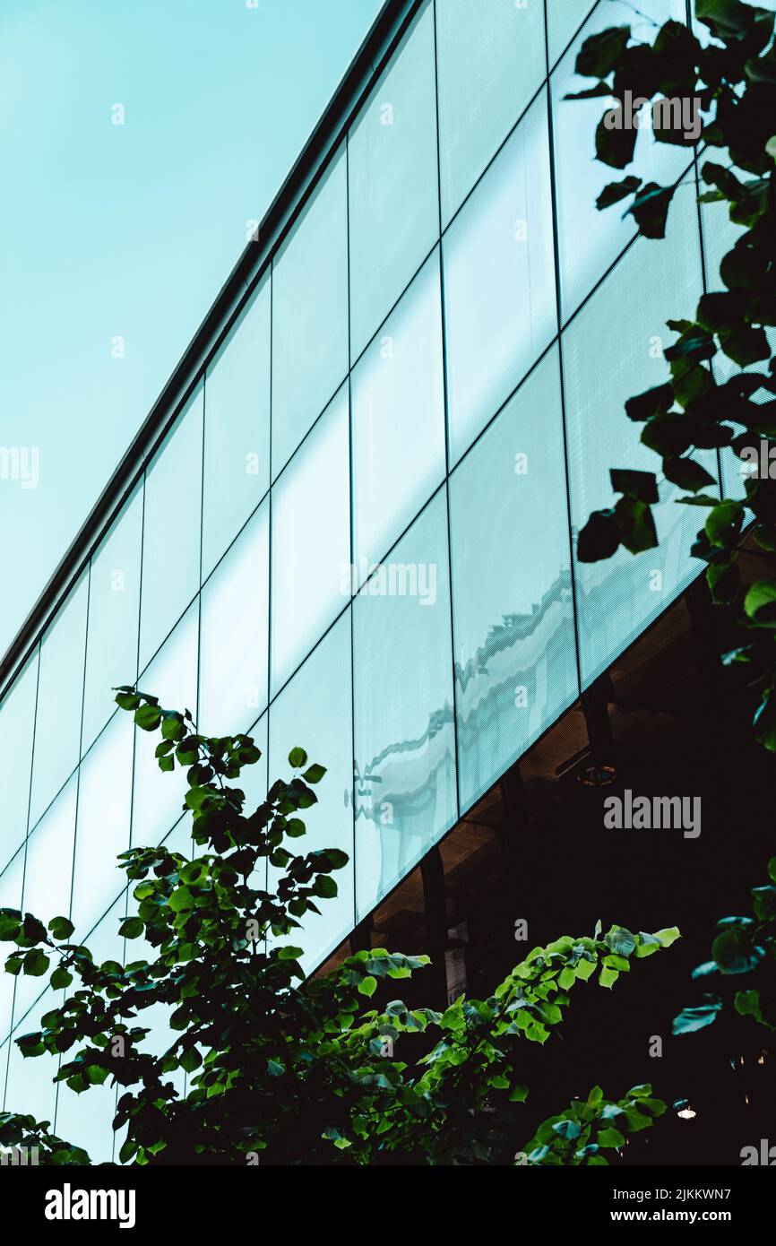 A vertical shot of a blue glass facade of a modern building with tree ...