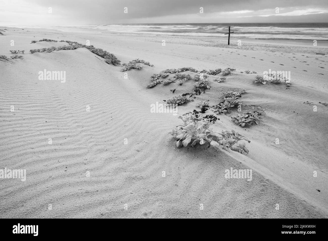Scenic view on island Black and White Stock Photos & Images - Alamy