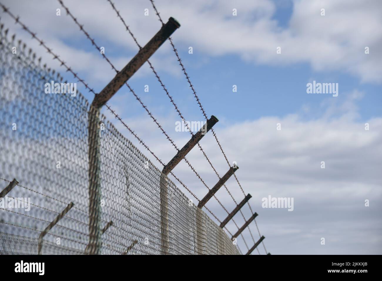 Metal wire mesh fence hi-res stock photography and images - Alamy