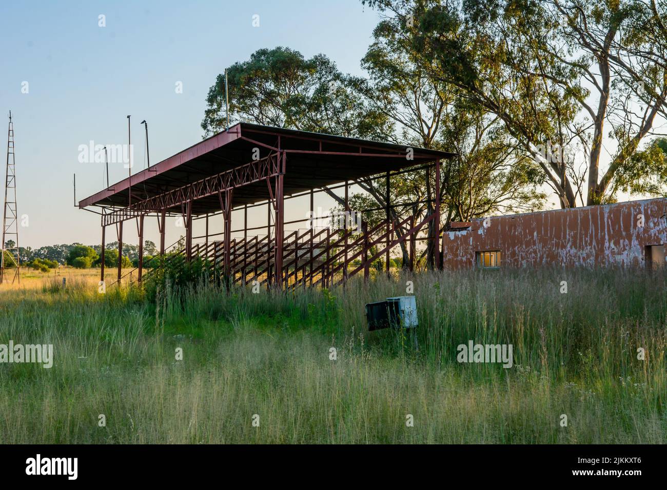 Trees with open canopy hi-res stock photography and images - Alamy