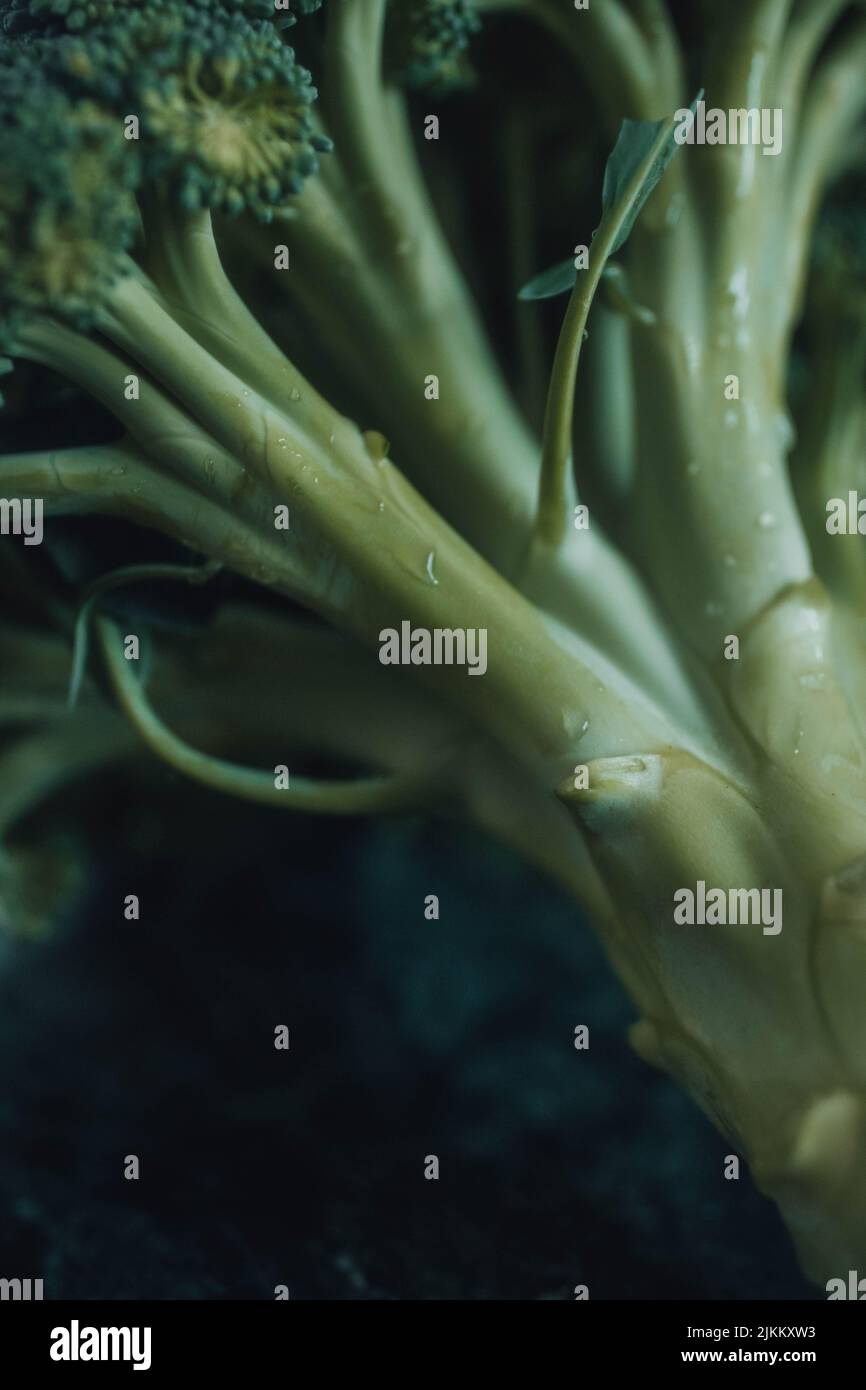 Broccoli close up healthy green hi-res stock photography and images - Alamy