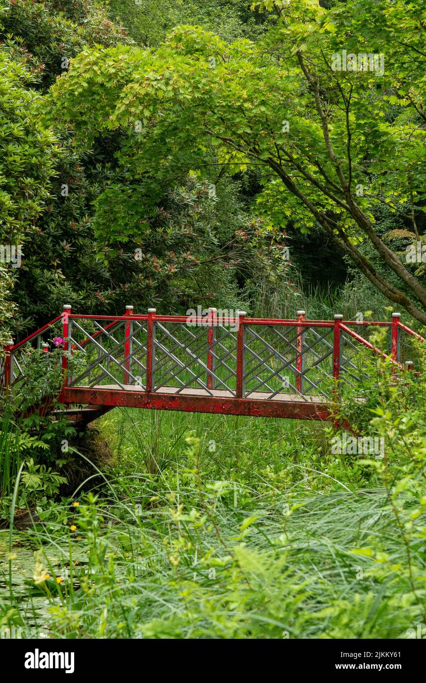 A vertical shot of a small bridge surrounded by trees and greenery in a ...