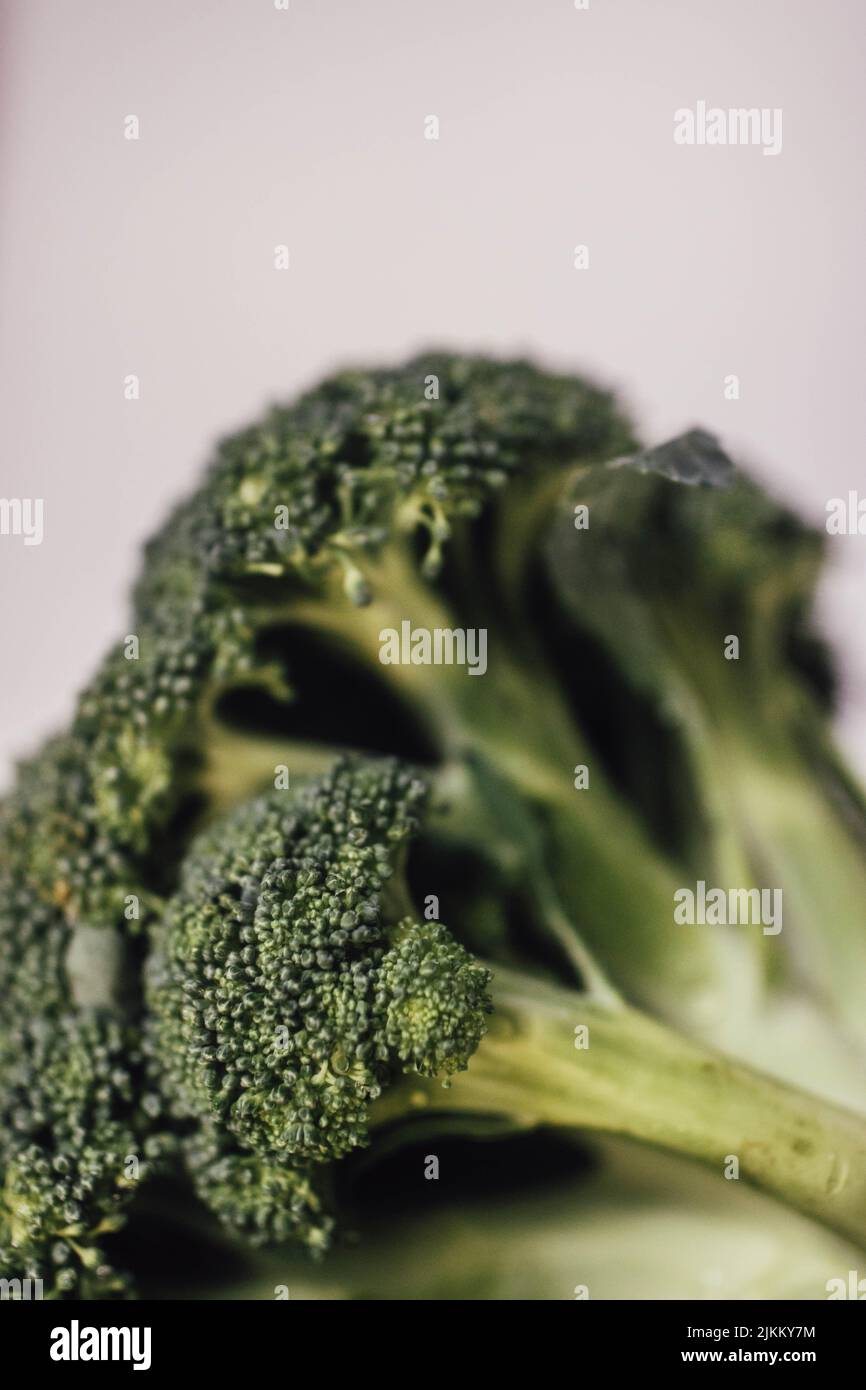 broccoli close up white background Stock Photo - Alamy