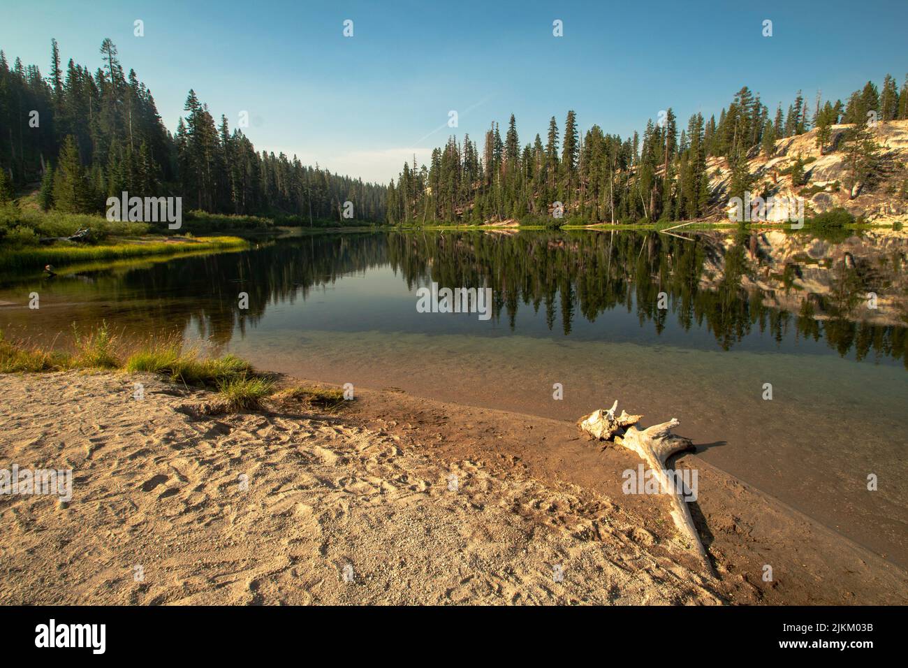 Beautiful lake with trees hi-res stock photography and images - Alamy