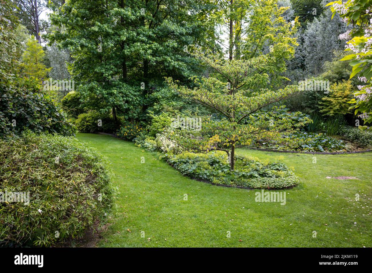 English garden type during summer season. Green grass and trees Stock ...