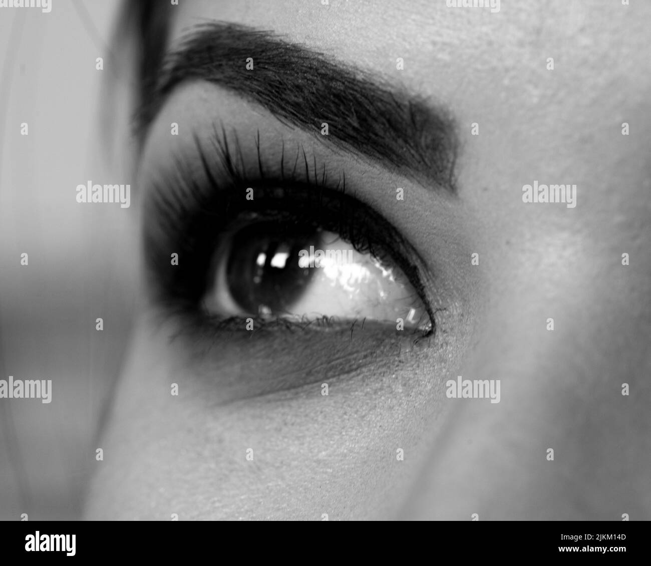 Long eyelashes hi-res stock photography and images - Alamy