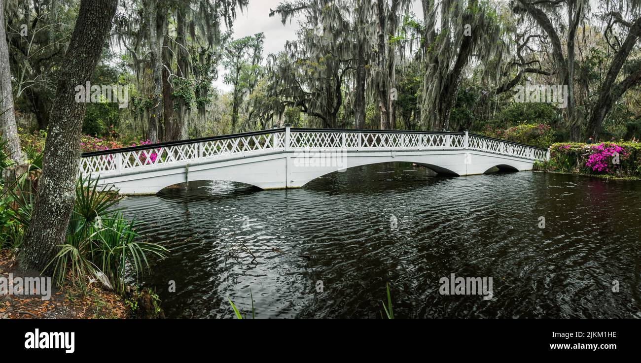 The Bridge over the Ashley River in the Magnolia Plantation and Gardens ...