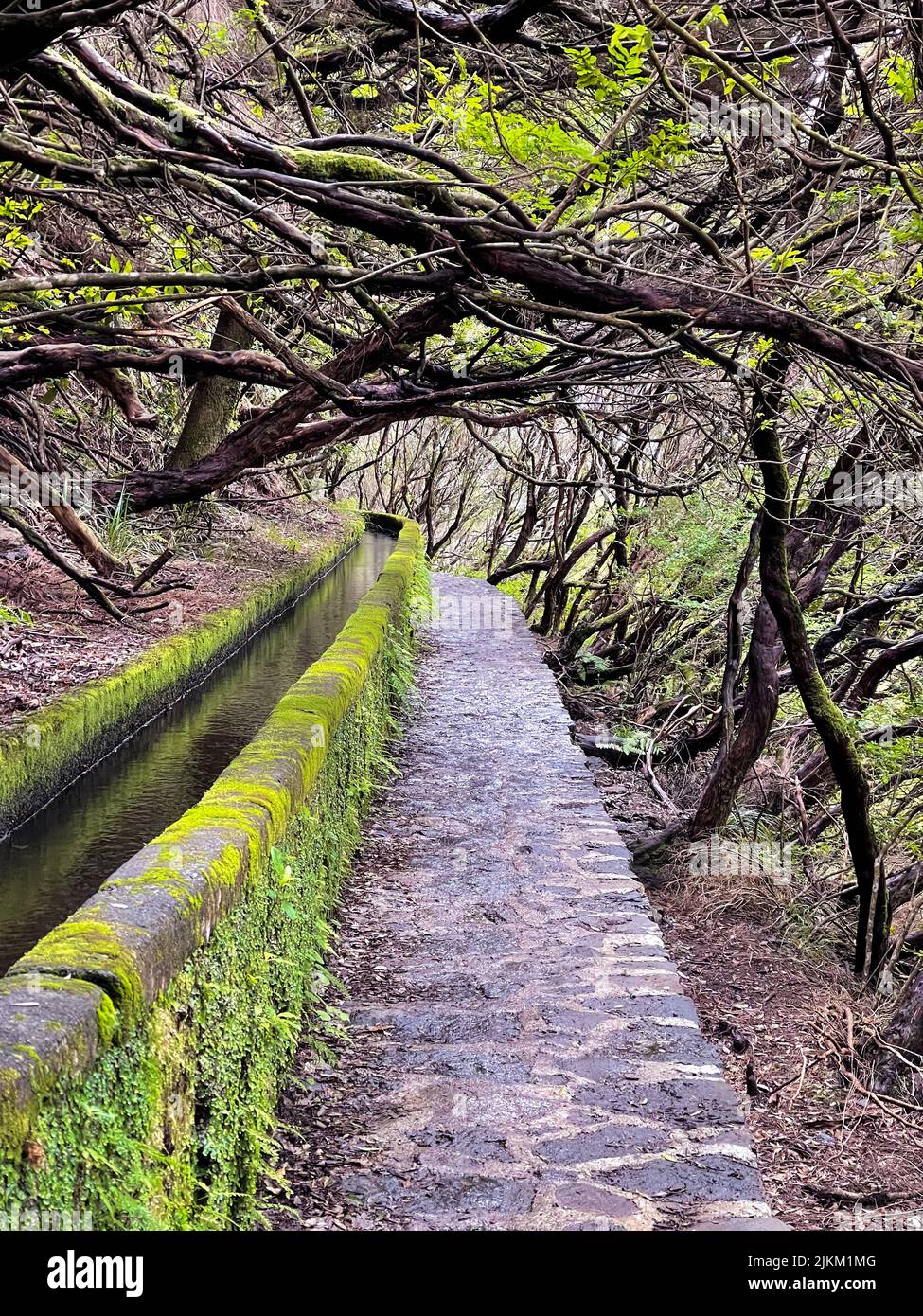 Natural pathway hi-res stock photography and images - Alamy