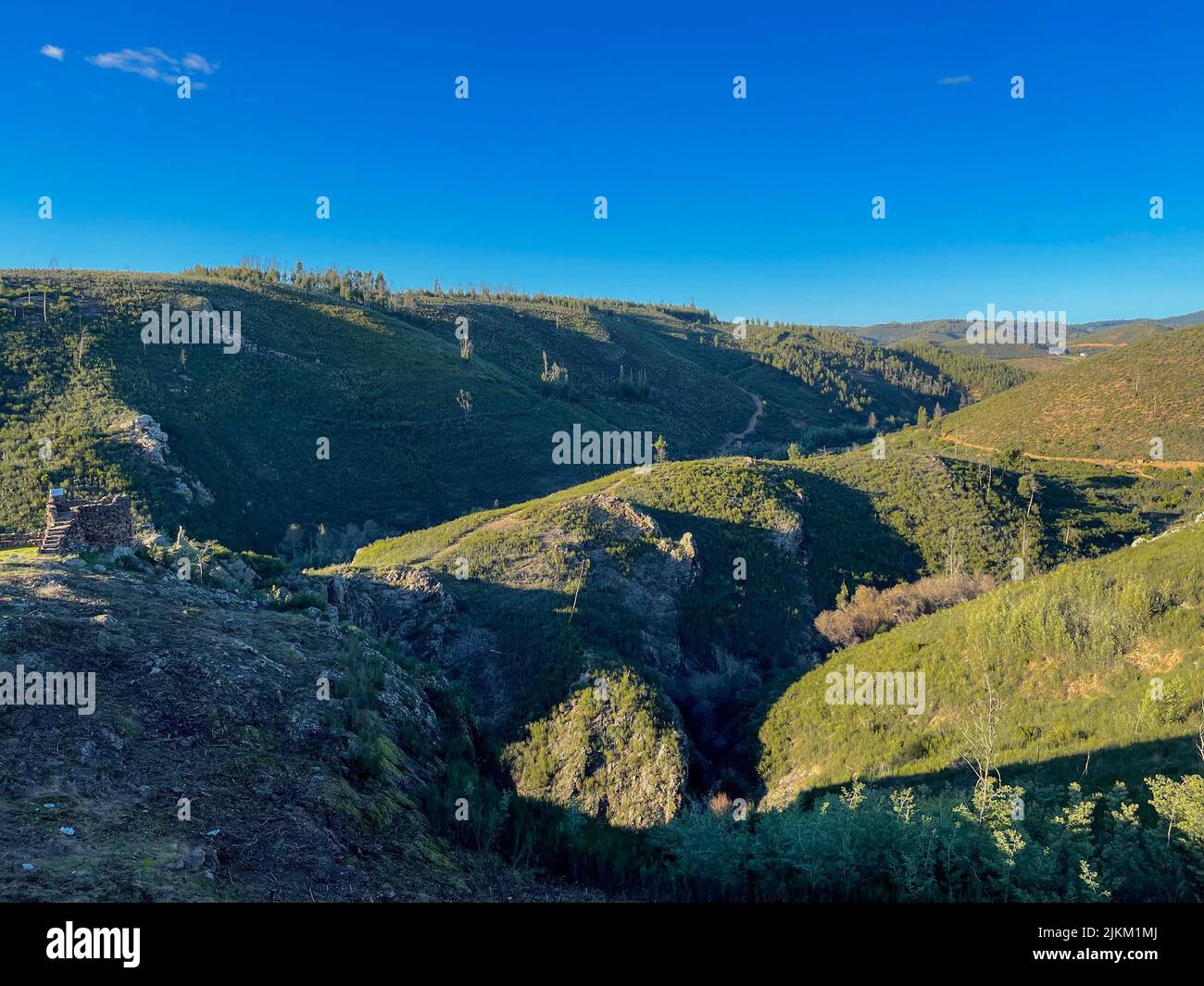 A natural view of vast and thick forest mountain landscape under a ...