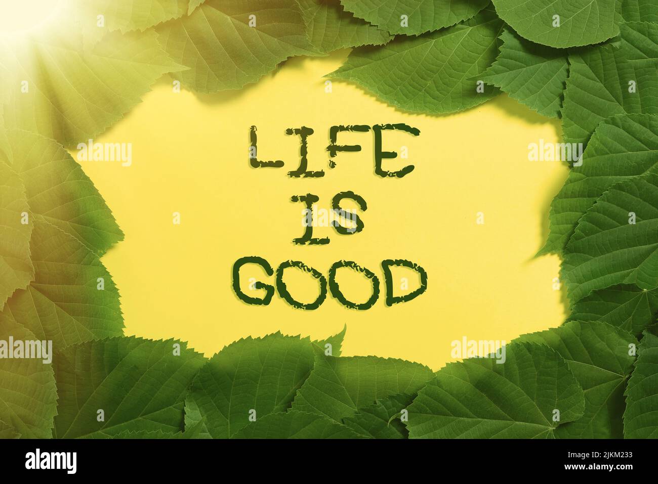 Writing displaying text Life Is Good. Internet Concept Obtain ...