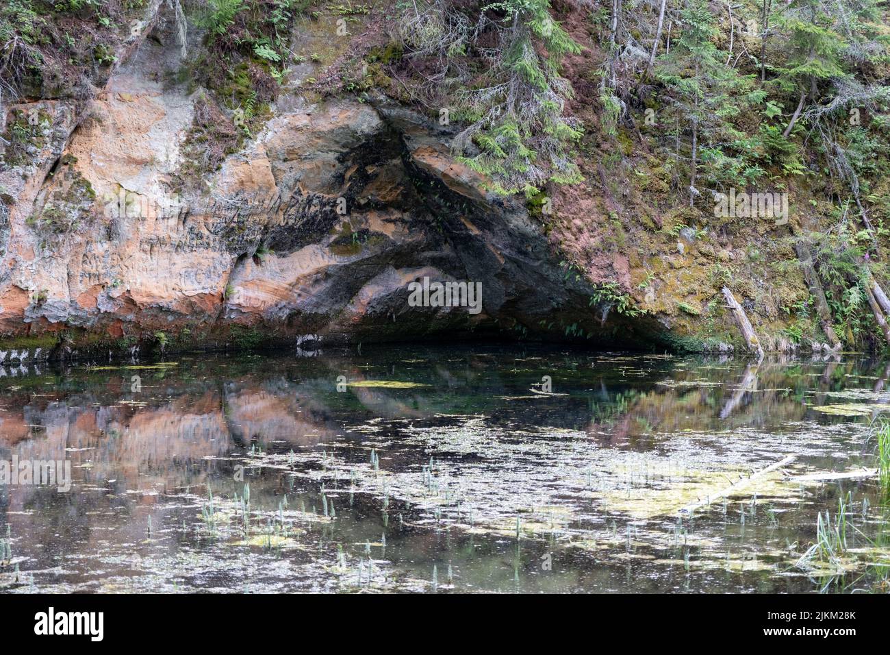 Mirror cliffs and an old river channel in a very beautiful forest in ...