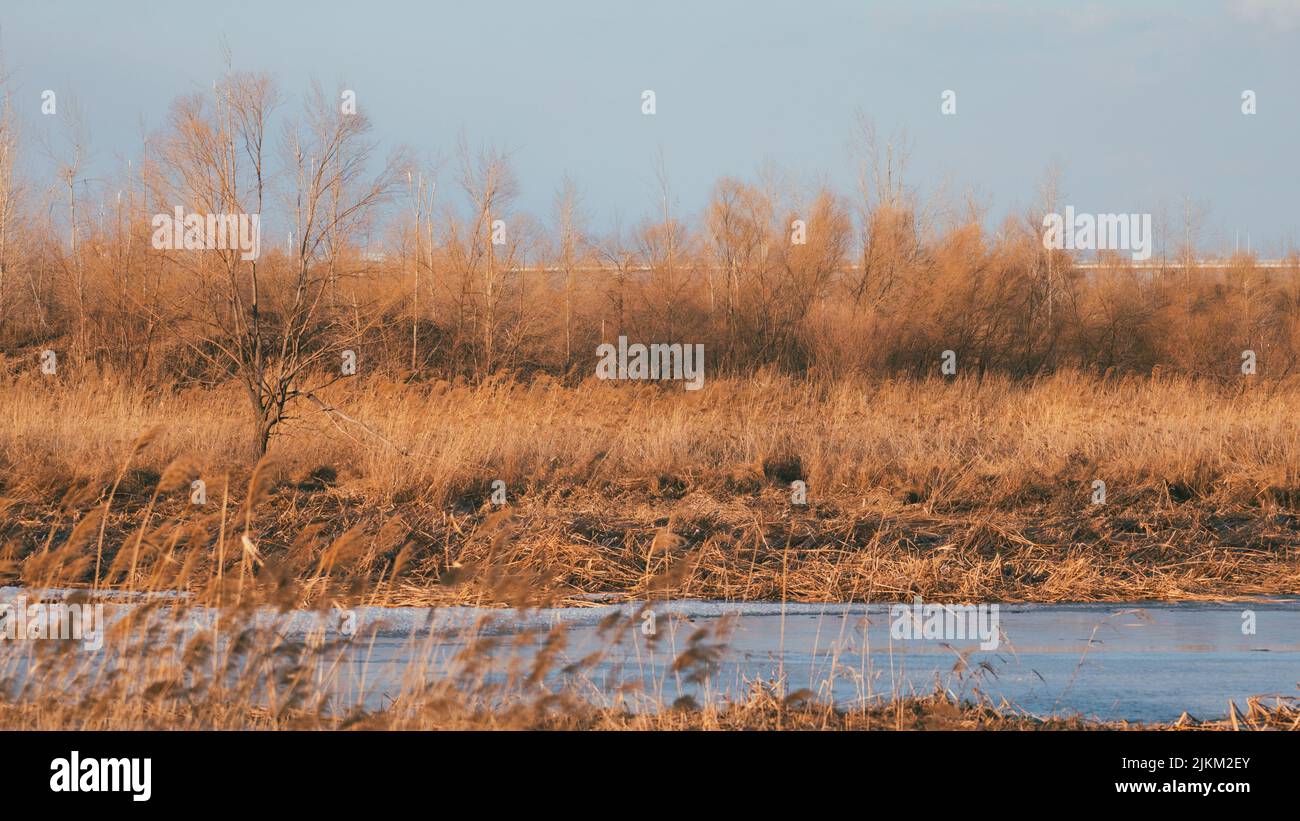 A brown swampy marshland with blue puddles Stock Photo - Alamy