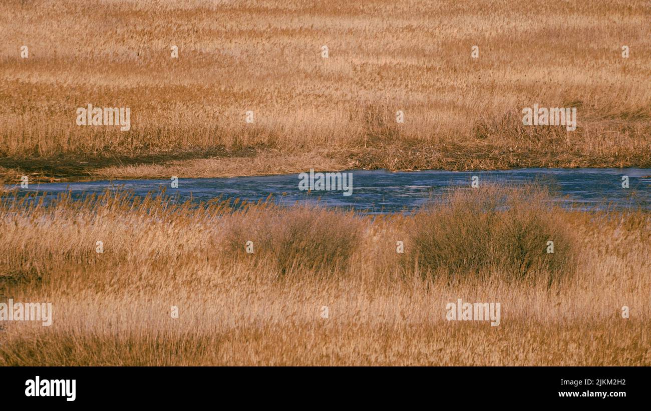 A brown swampy marsh with blue puddles Stock Photo - Alamy