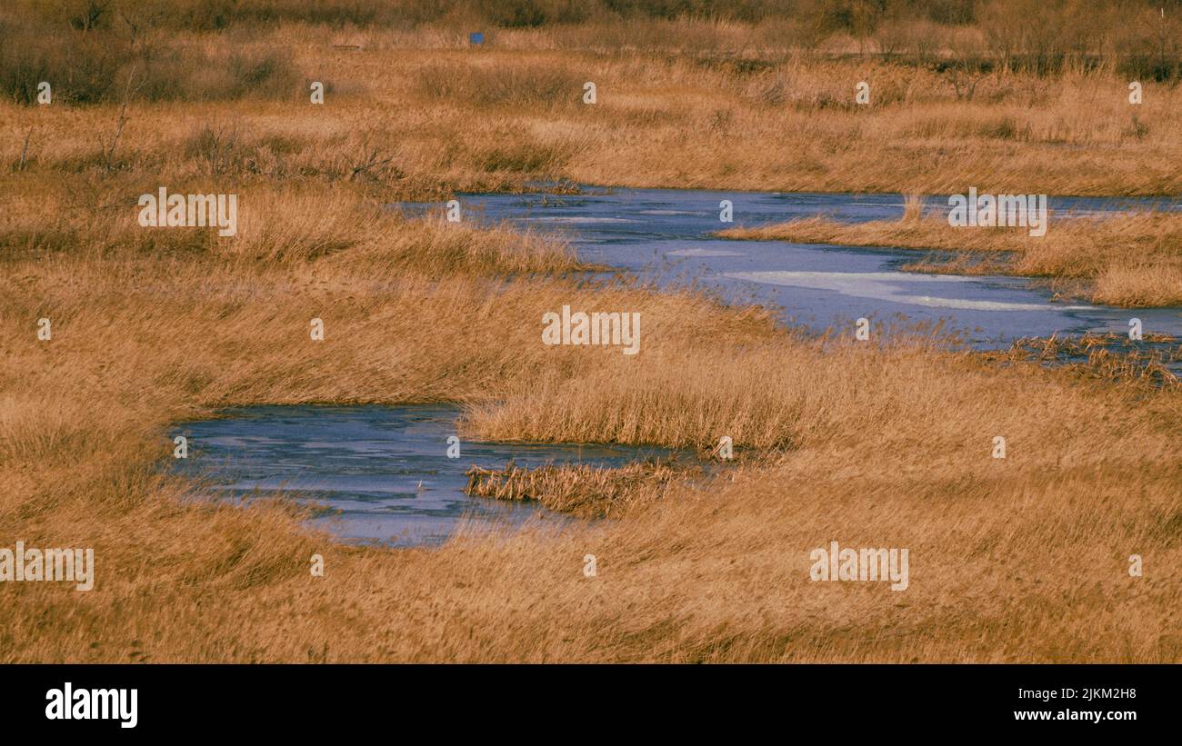 A brown swampy marsh with blue puddles Stock Photo - Alamy