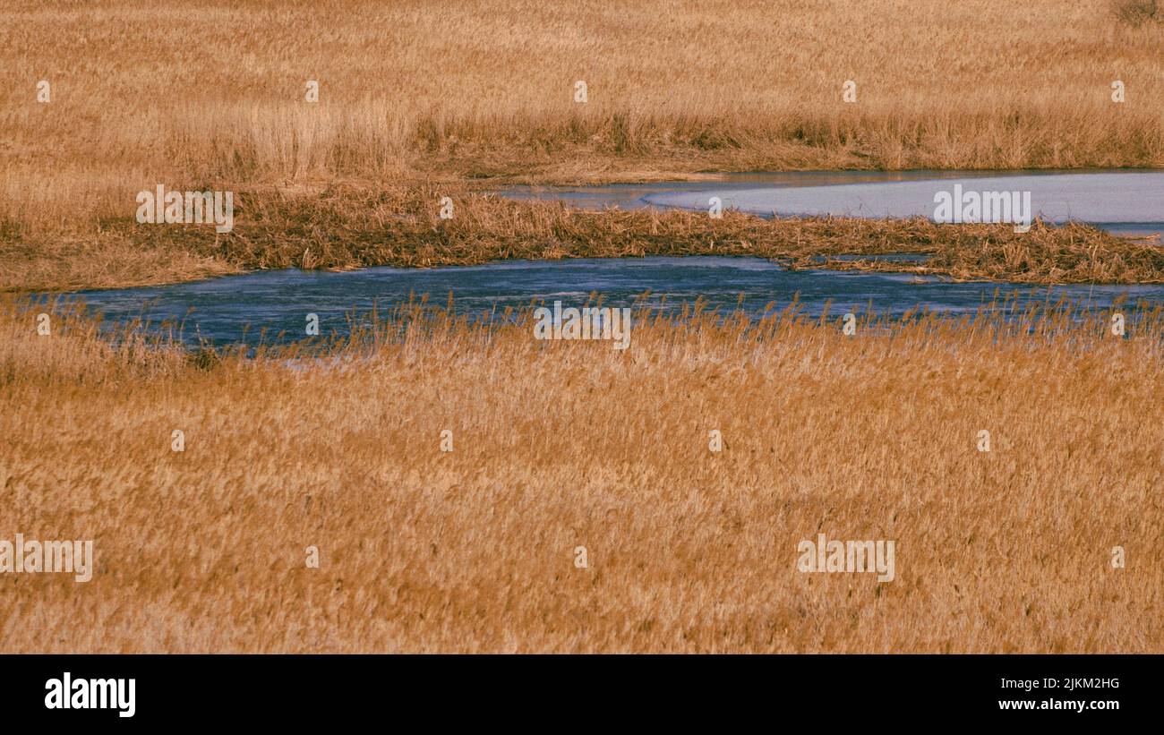 A brown swampy marsh with blue puddles Stock Photo - Alamy