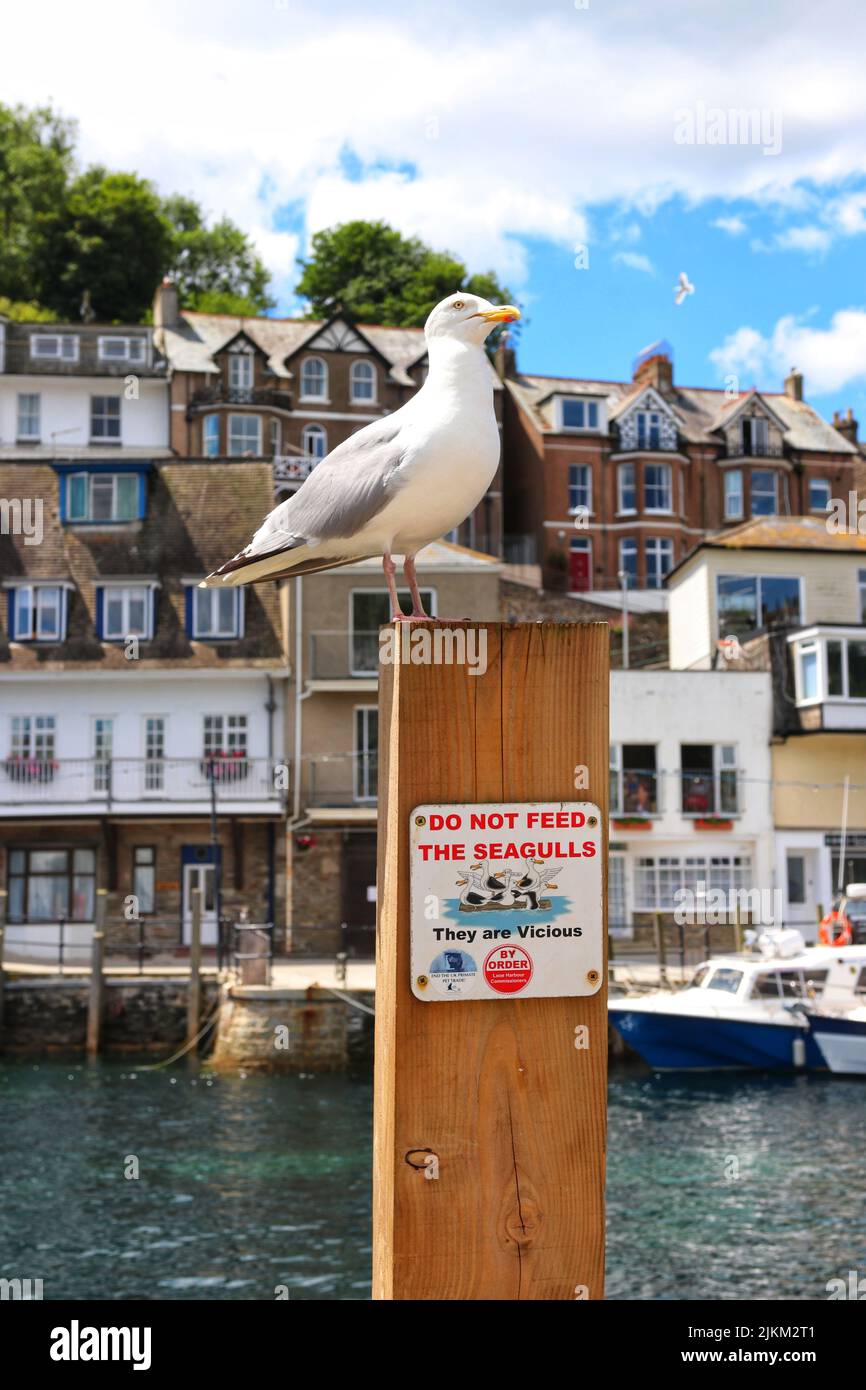 Seagull warning sign hi-res stock photography and images - Alamy