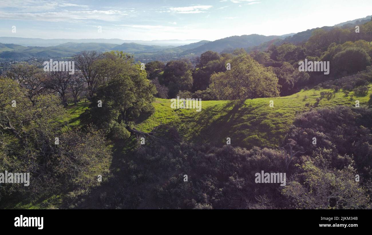 Plant plants tree trees hi-res stock photography and images - Alamy