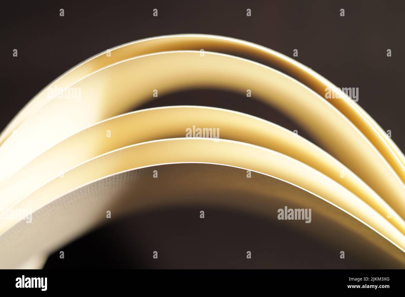 A closeup of curved book pages on a blurred background Stock Photo - Alamy